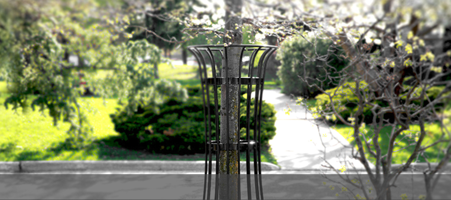 Benefits of Tree Guards & Tree Grates - Canaan Site Furnishings