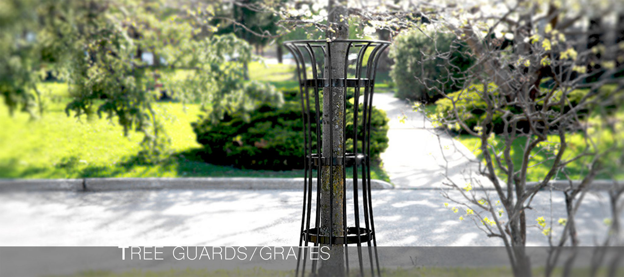 Tree Guards/ Tree Grates - Canada - Canaan Site Furnishings