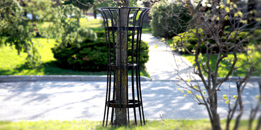 Benefits of Tree Guards & Tree Grates - Canaan Site Furnishings
